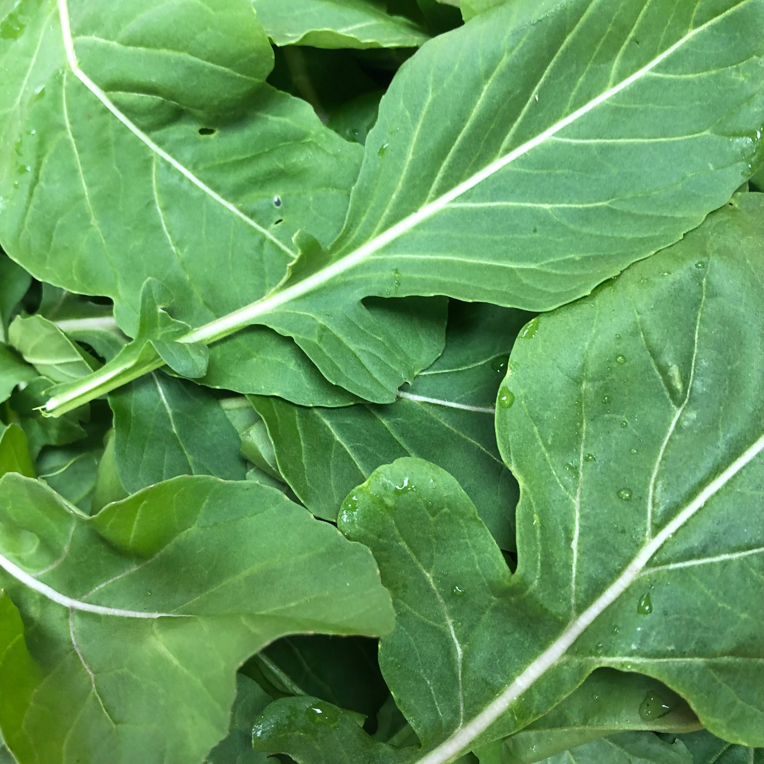 K Select Farm - Produce